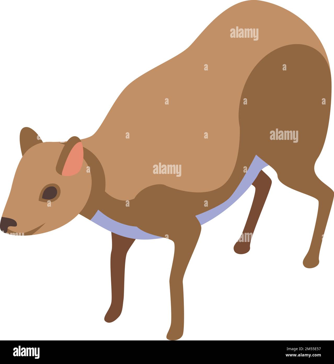 Myanmar animal icon isometric vector. Culture tourism. People holiday ...