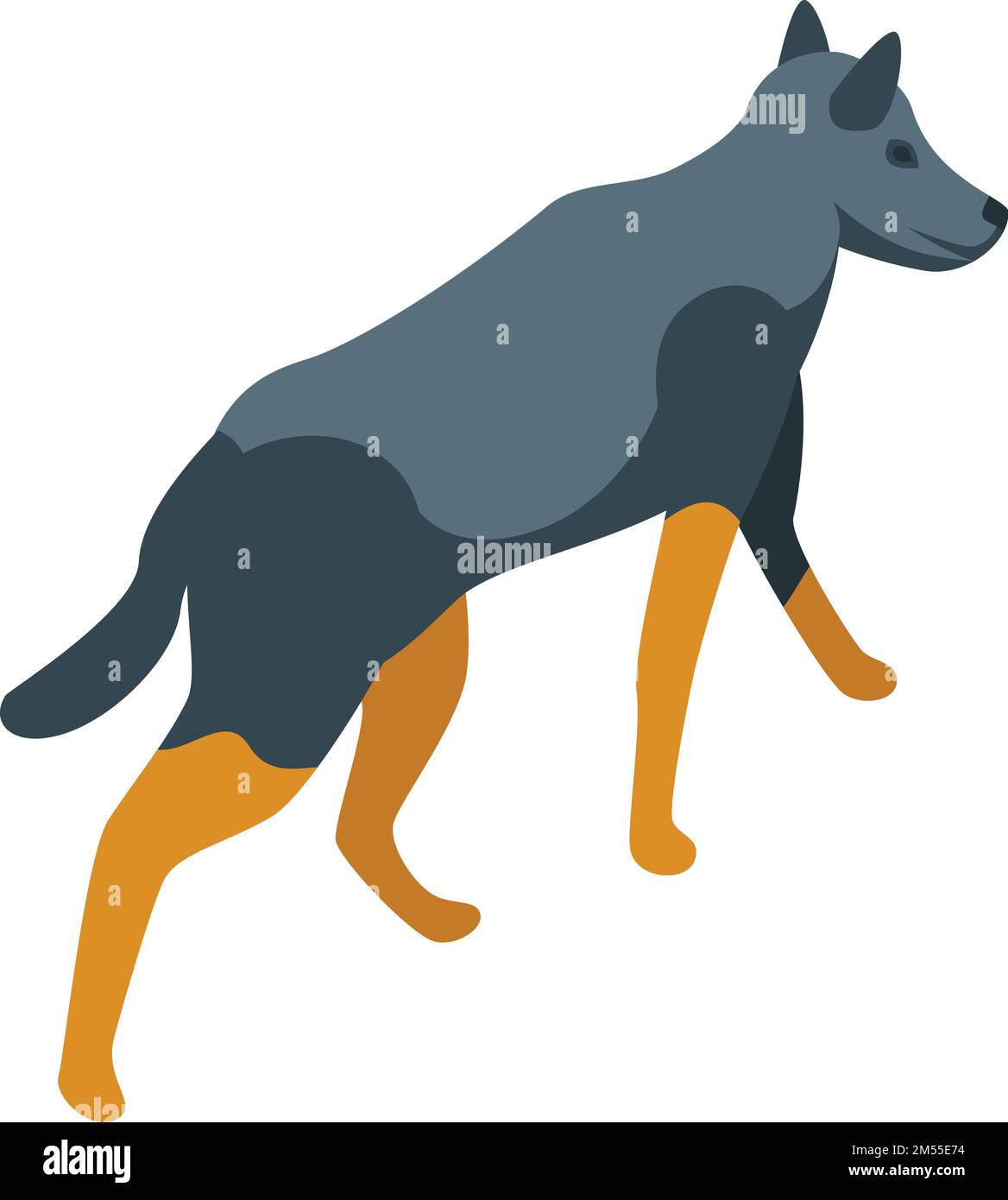 Cute wild dog icon isometric vector. Animal mammal. Safari predator ...