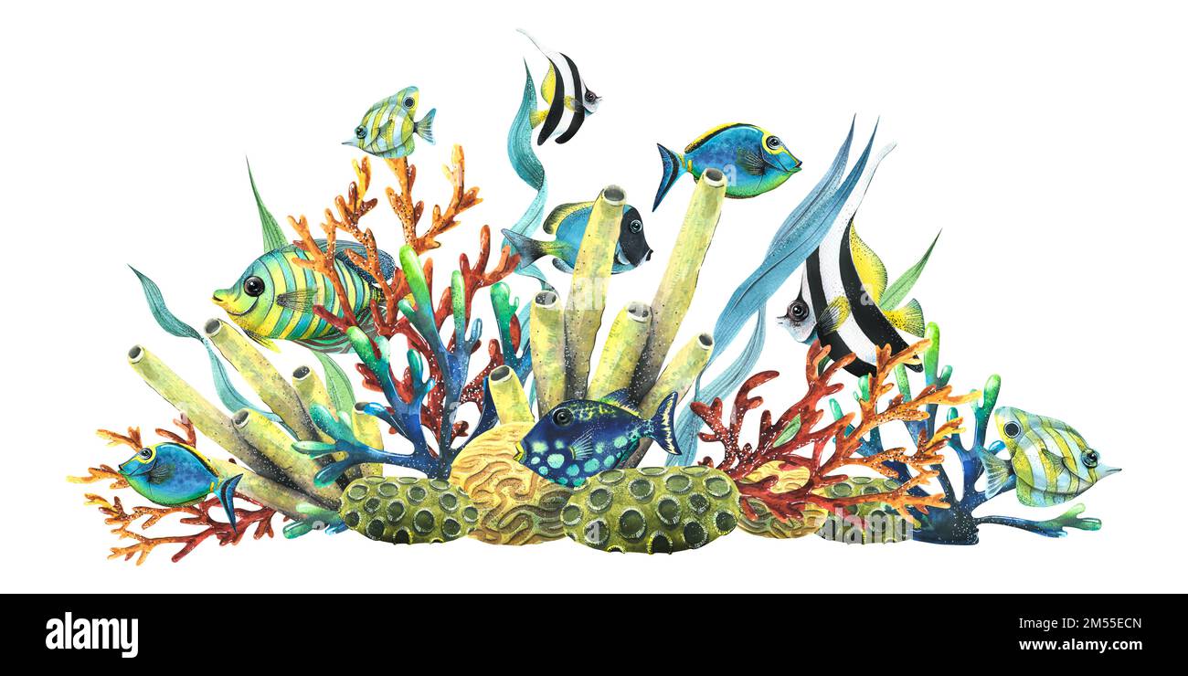 Deep sea fish drawing hi-res stock photography and images - Alamy