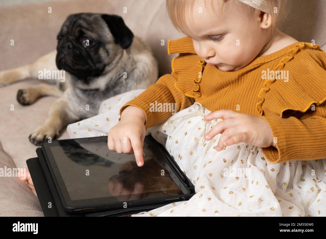 Pugs Watching Babies