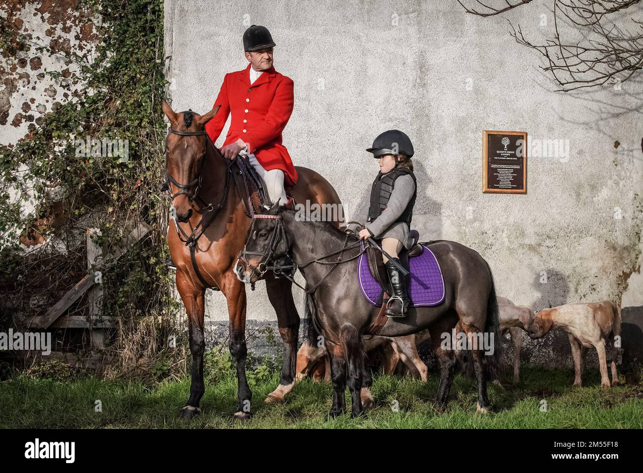 Crowcombe, Somerset, UK. 26th December 2022. Quantock Staghounds Boxing ...
