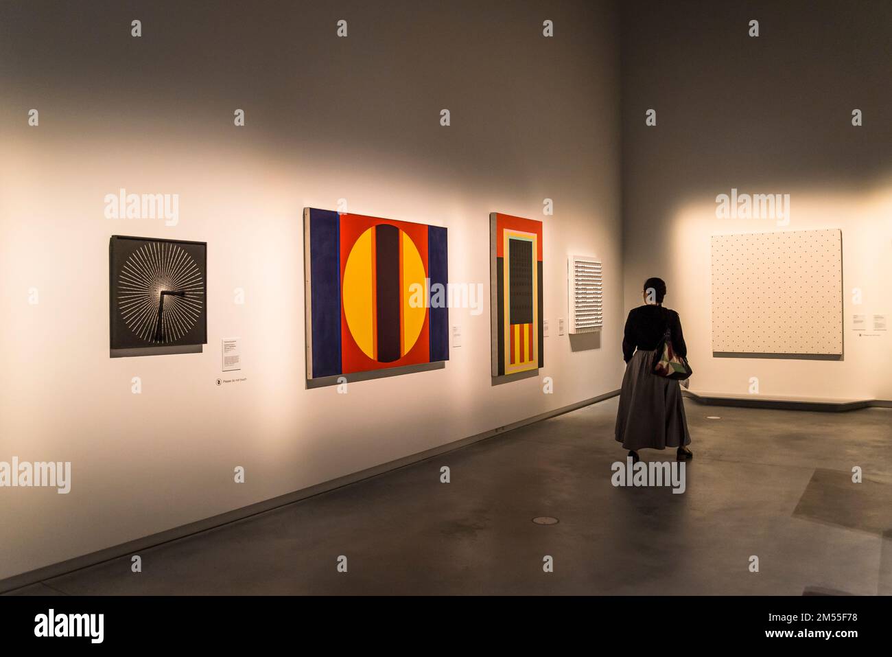 Light & Darkness, late modernism and the JW Power Collection, Chau Chak ...