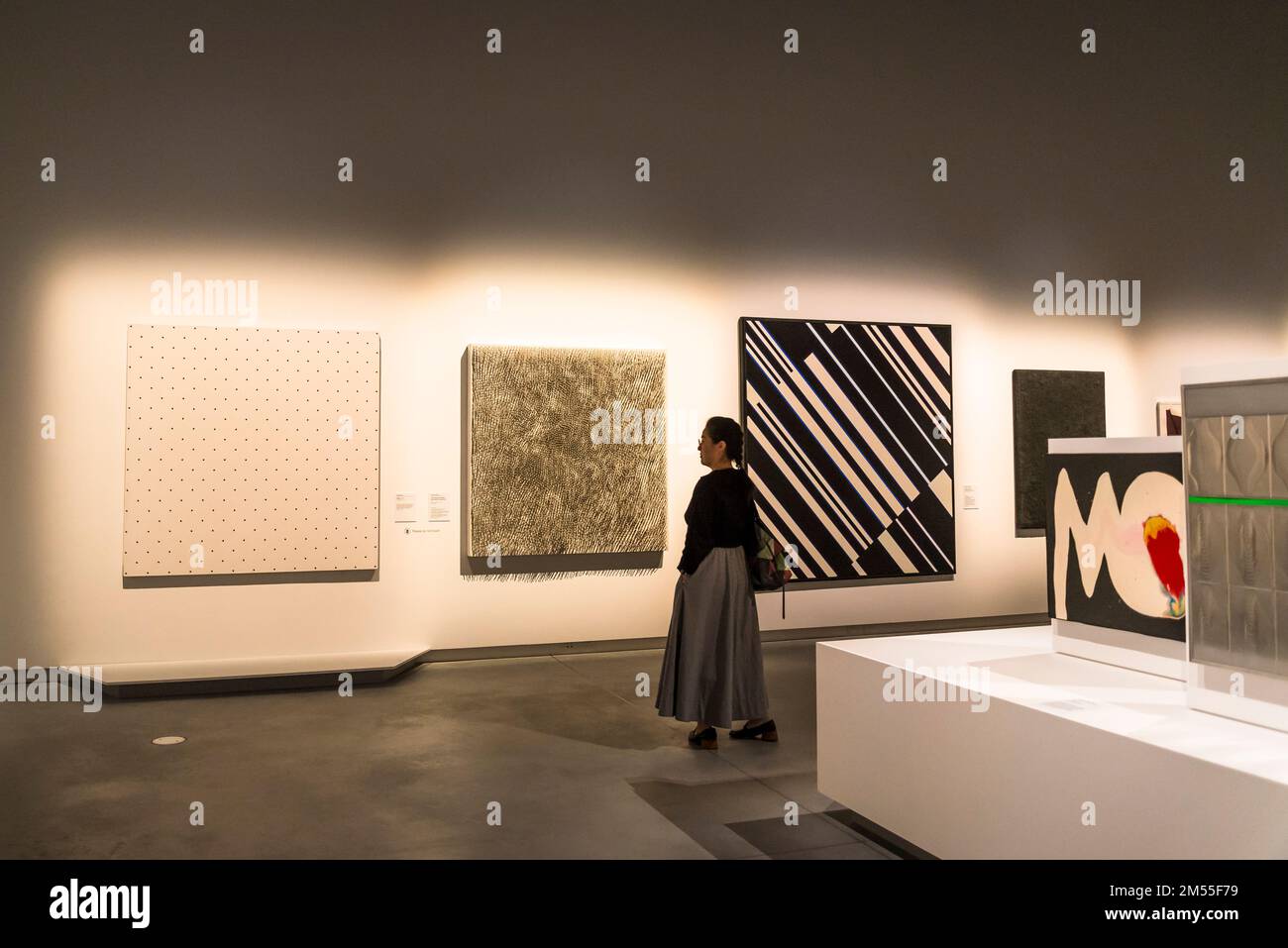 Light & Darkness, late modernism and the JW Power Collection, Chau Chak ...