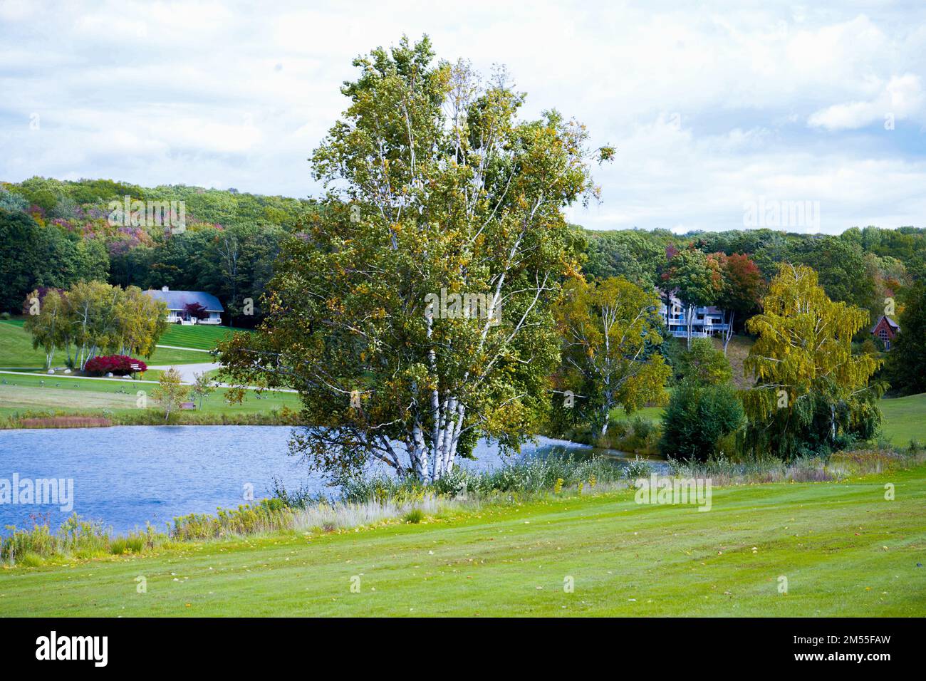 A high angle shot of rural green areas near the Tunnel of Trees in ...