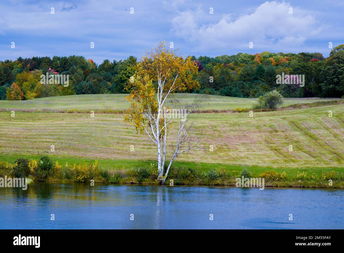 A high angle shot of rural green areas near the Tunnel of Trees in ...