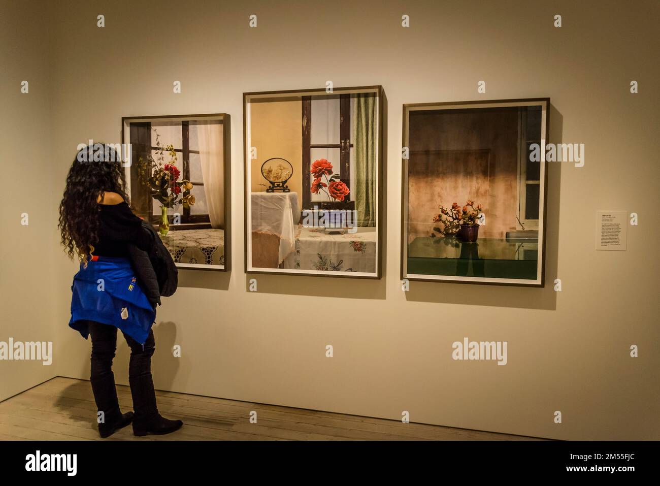 'I Loved You' exhibition, 2022, at the White Rabbit Gallery, an art ...