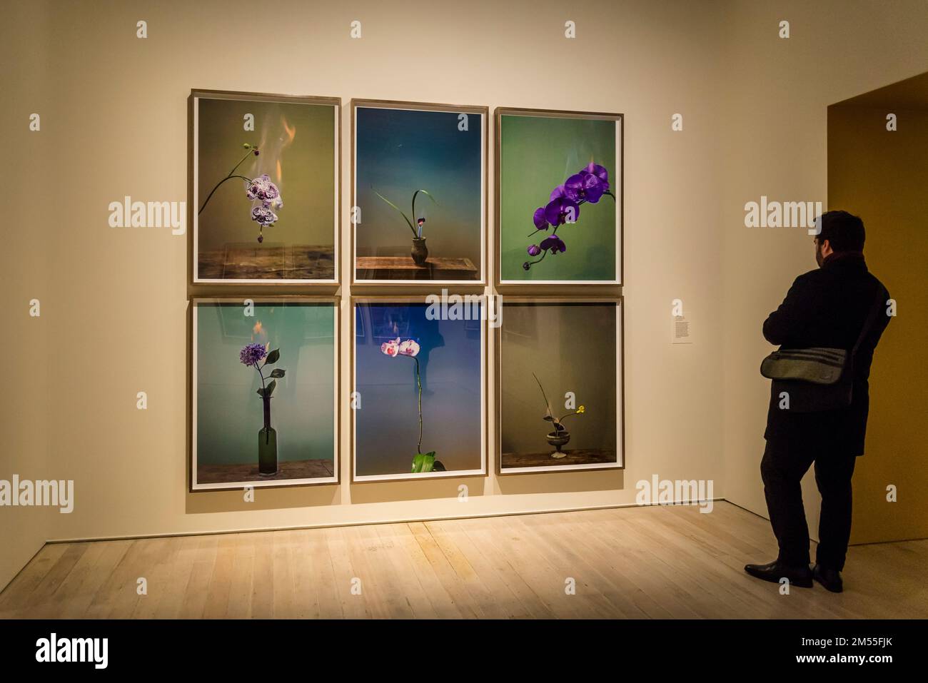 'I Loved You' exhibition, 2022, at the White Rabbit Gallery, an art ...