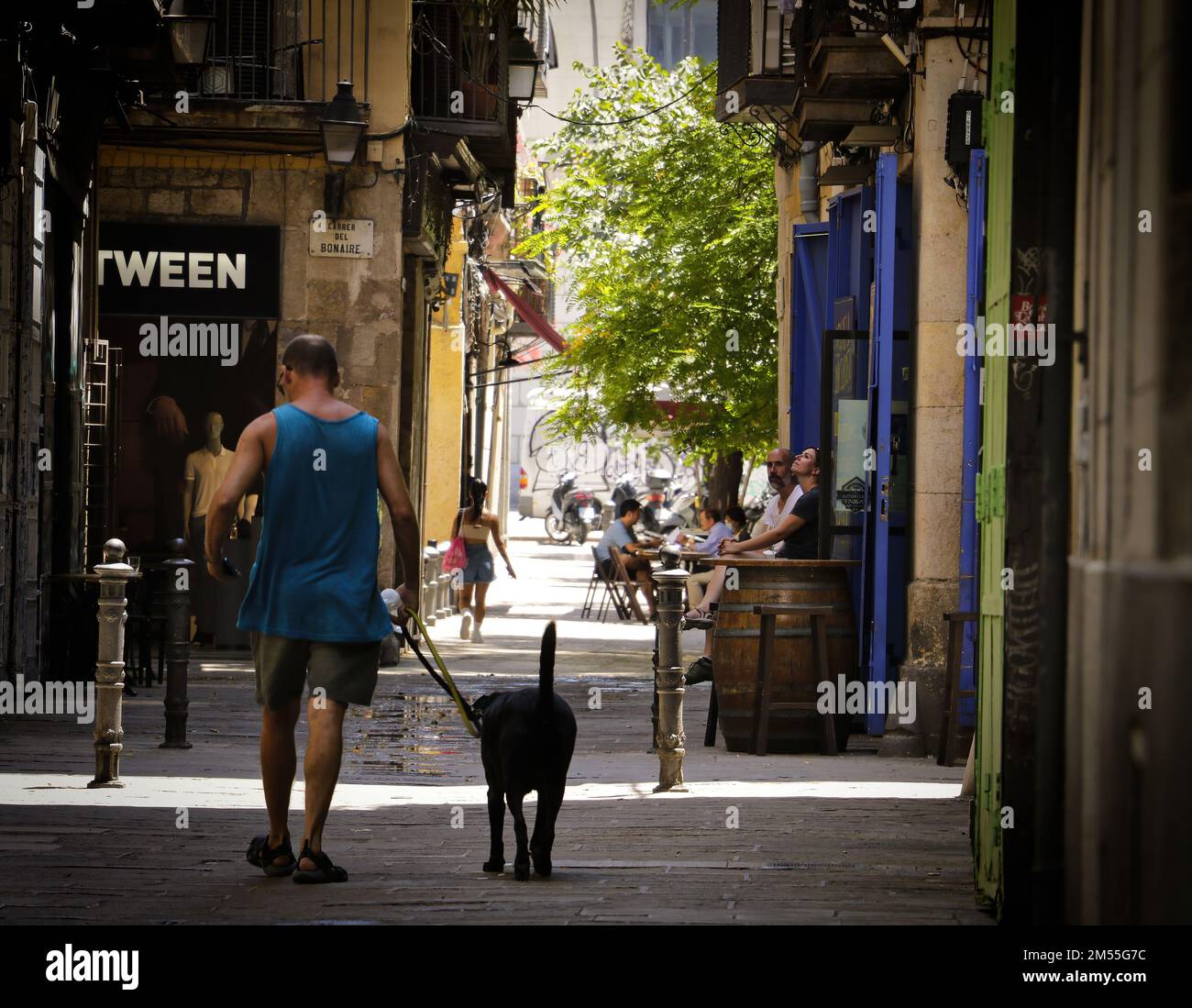 A back view of a male walking his dog in the gothic quarter of ...