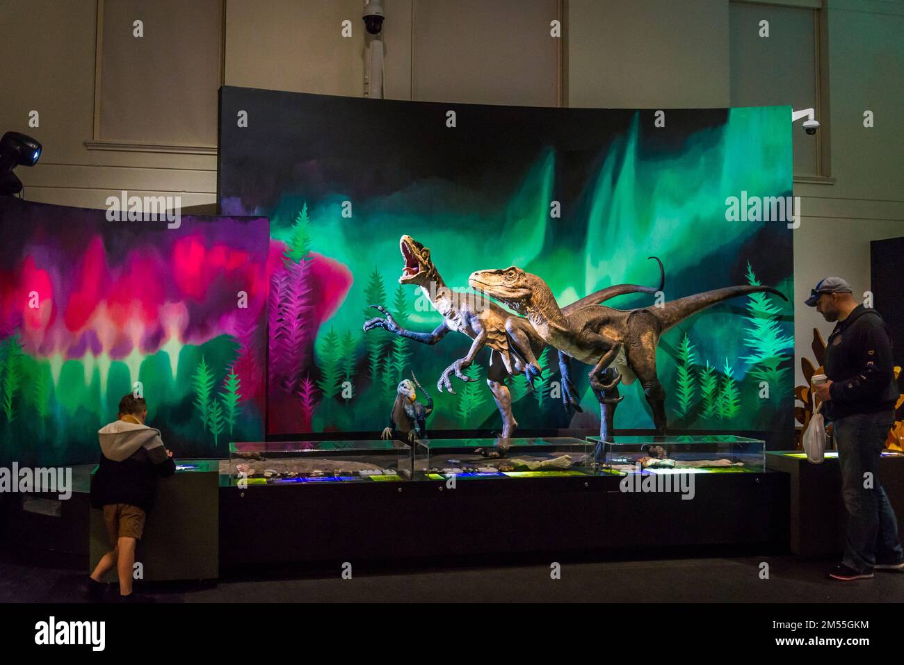 Dinosaur galleries at the Australian Museum, Natural History Museum ...