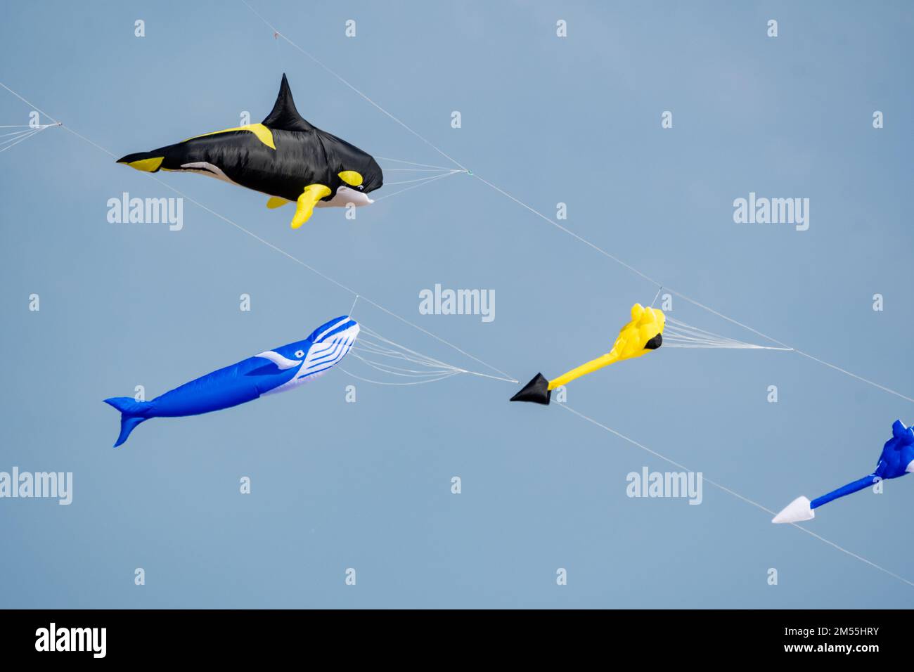 whale shaped kites, colorful kites flying, blue sky, summer, Ebro Delta ...
