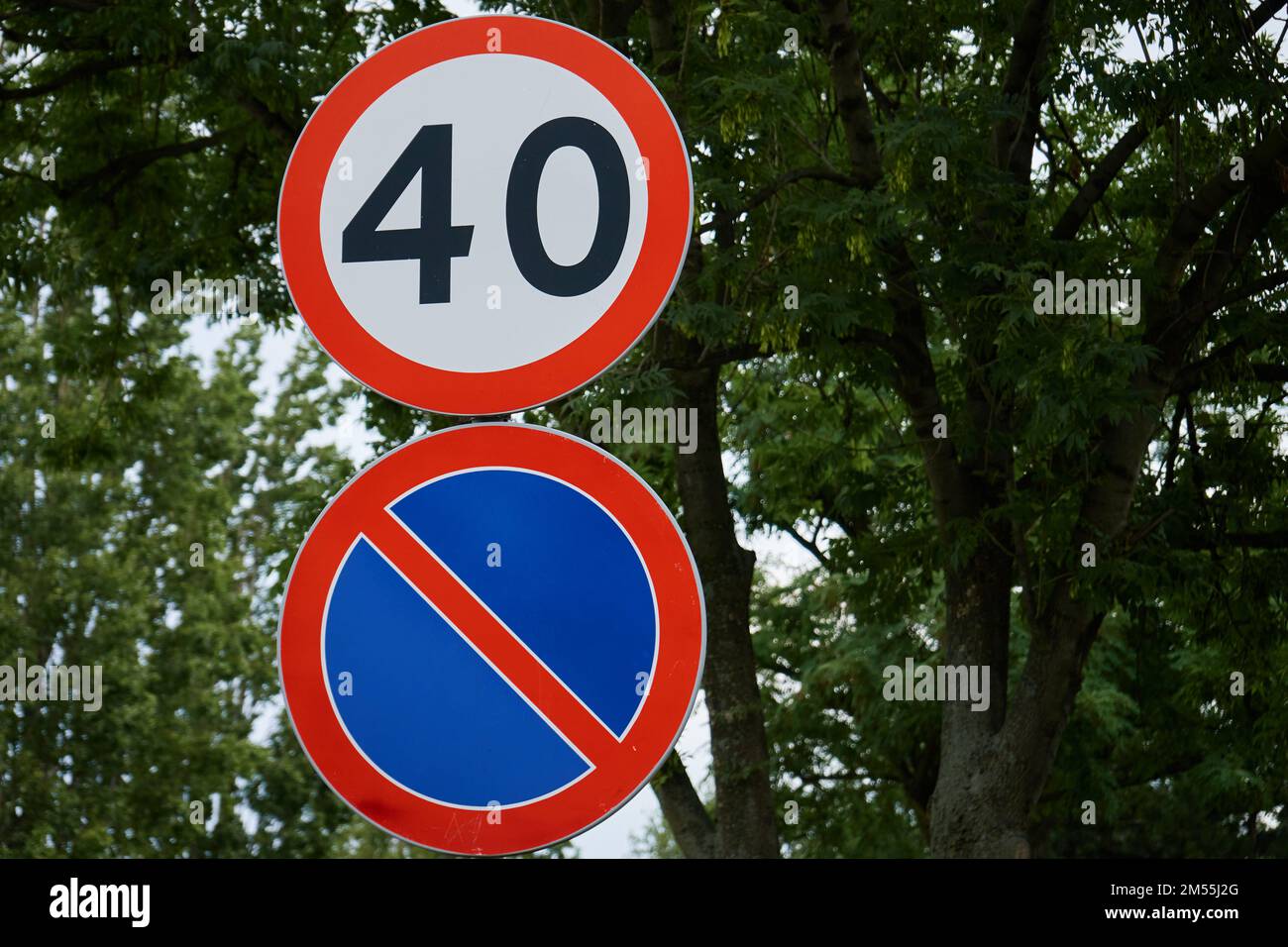 No parking and speed limit road signs against green trees in city at ...
