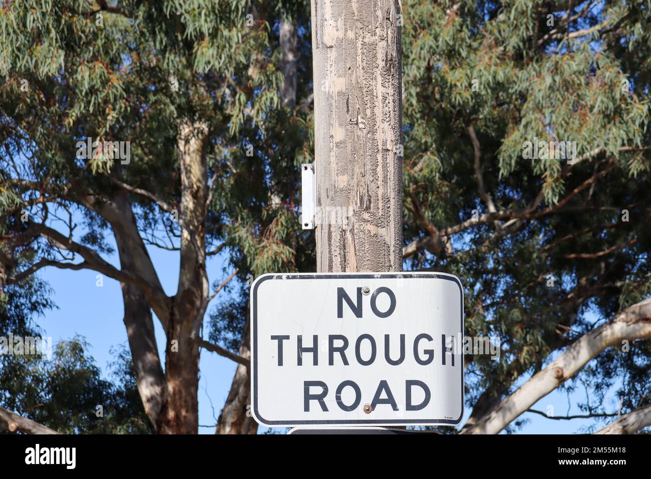 A no through road sign on a tree trunk Stock Photo - Alamy