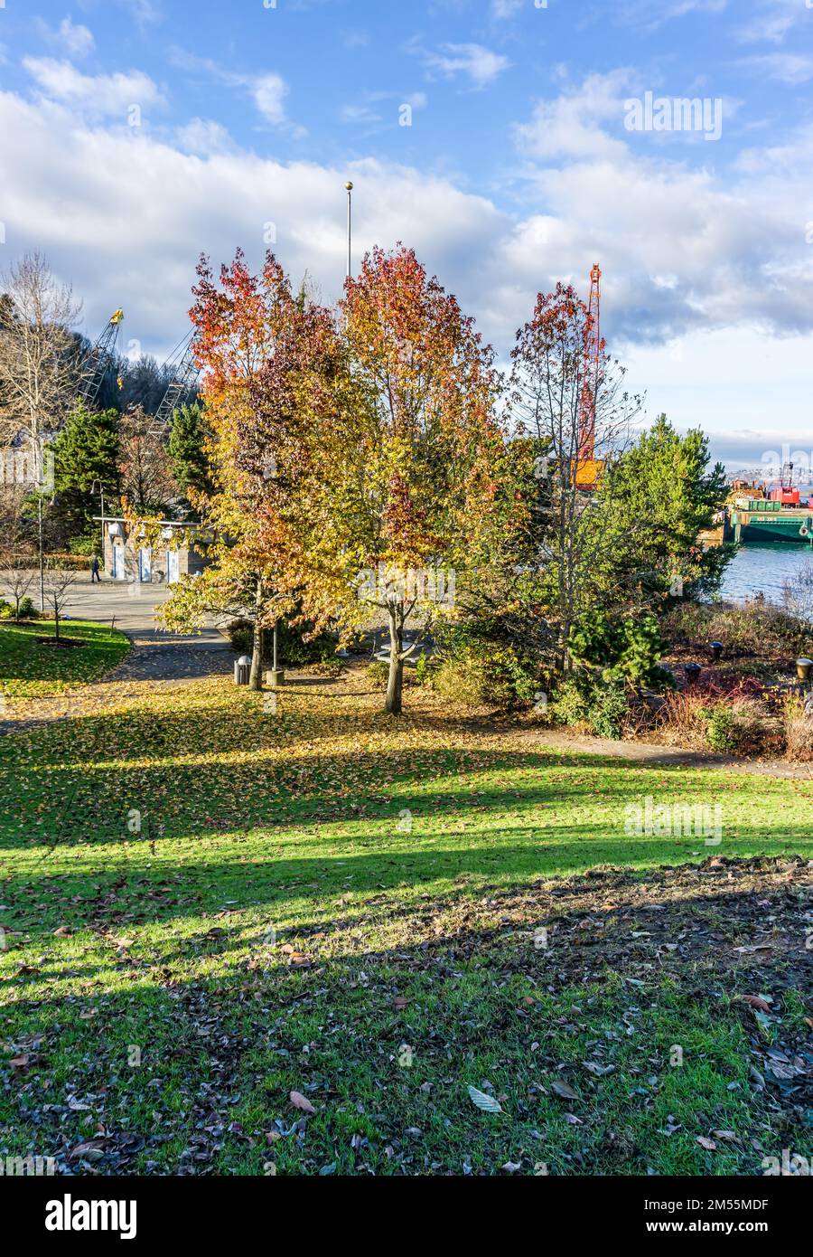 Seattle jack block park hi-res stock photography and images - Alamy