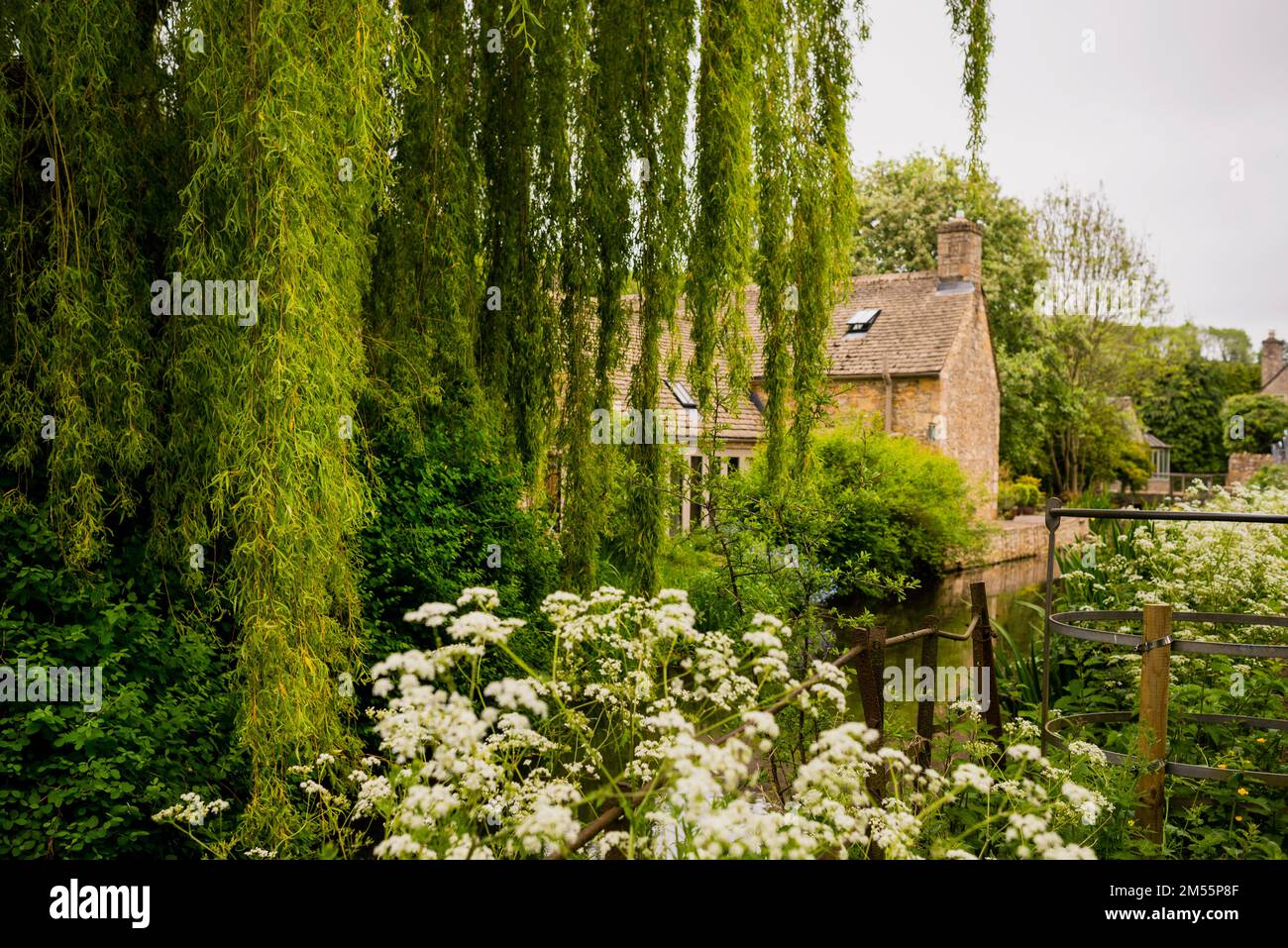 Naunton in the Cotswolds on a public footpath on the River Windrush in ...