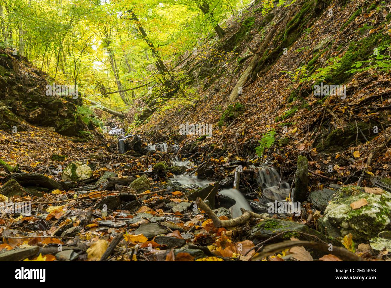 Hiking path through the area called Mehringer Schweiz Stock Photo - Alamy