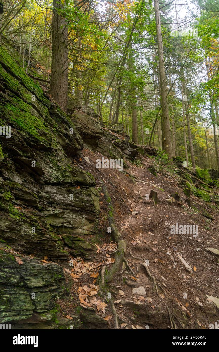 Hiking path through the area called Mehringer Schweiz Stock Photo - Alamy
