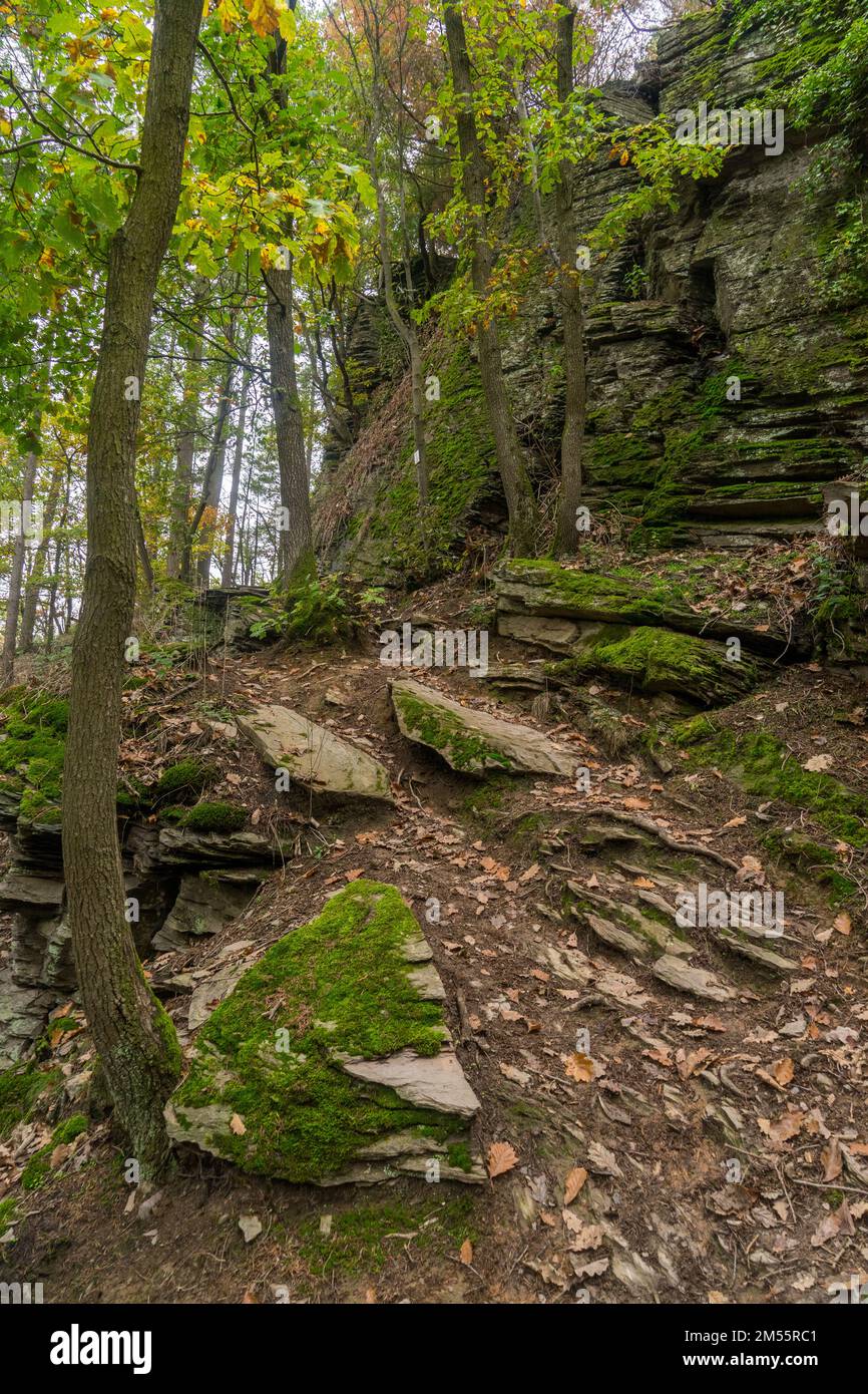 Hiking path through the area called Mehringer Schweiz Stock Photo - Alamy