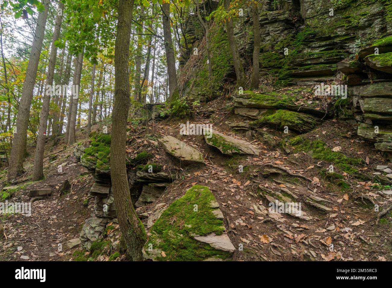 Hiking path through the area called Mehringer Schweiz Stock Photo - Alamy