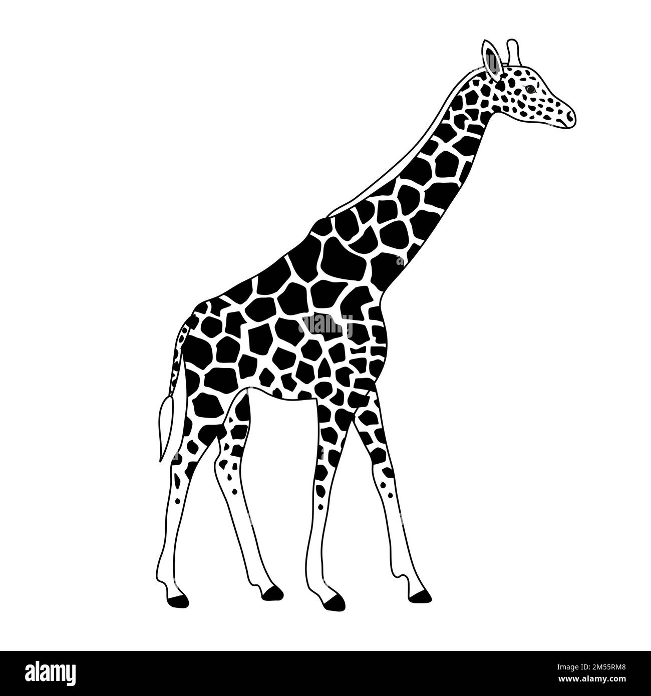Vector flat hand drawn outline giraffe isolated on white background ...