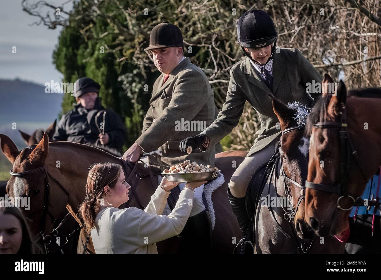 Quantock stag hounds hi-res stock photography and images - Alamy