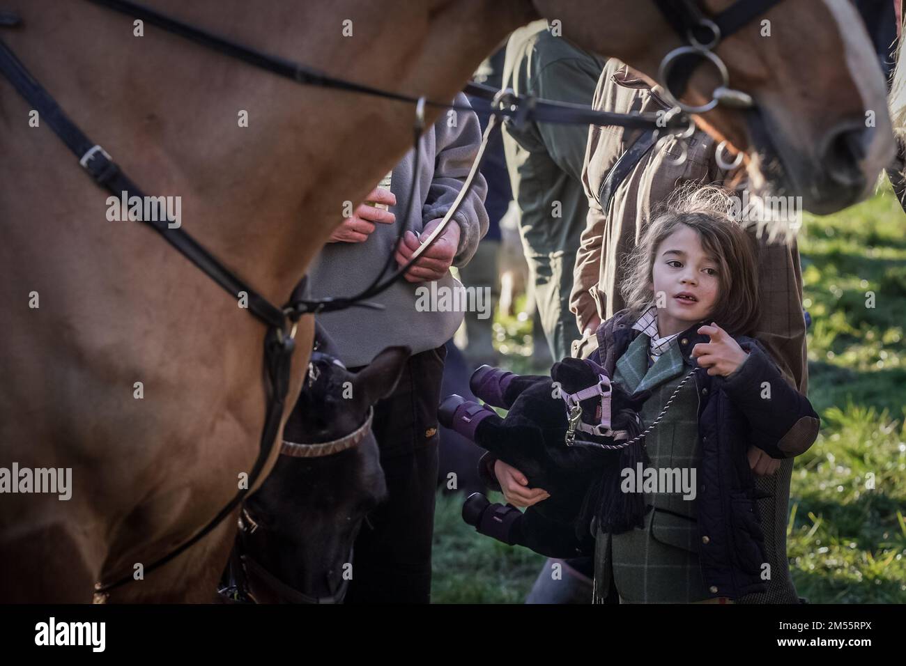 Quantock lodge hi-res stock photography and images - Alamy