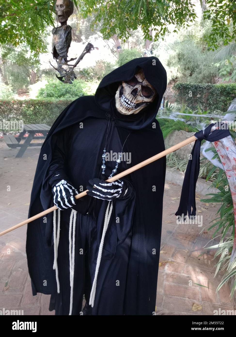A vertical shot of a person dressed in a grim reaper costume in a park ...