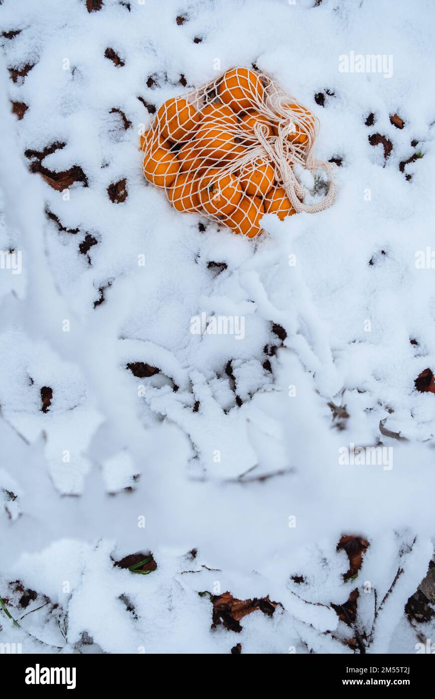 On the snow, tangerines lie in a wicker bag, cozily ensconced in their ...