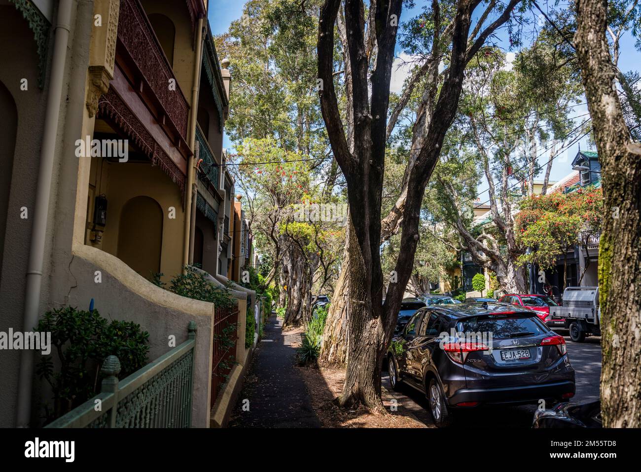 Quiet residential street in Newtown, a popular inner west suburb ...