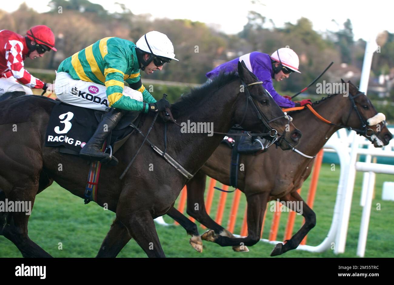 Saint roi horse hi-res stock photography and images - Alamy