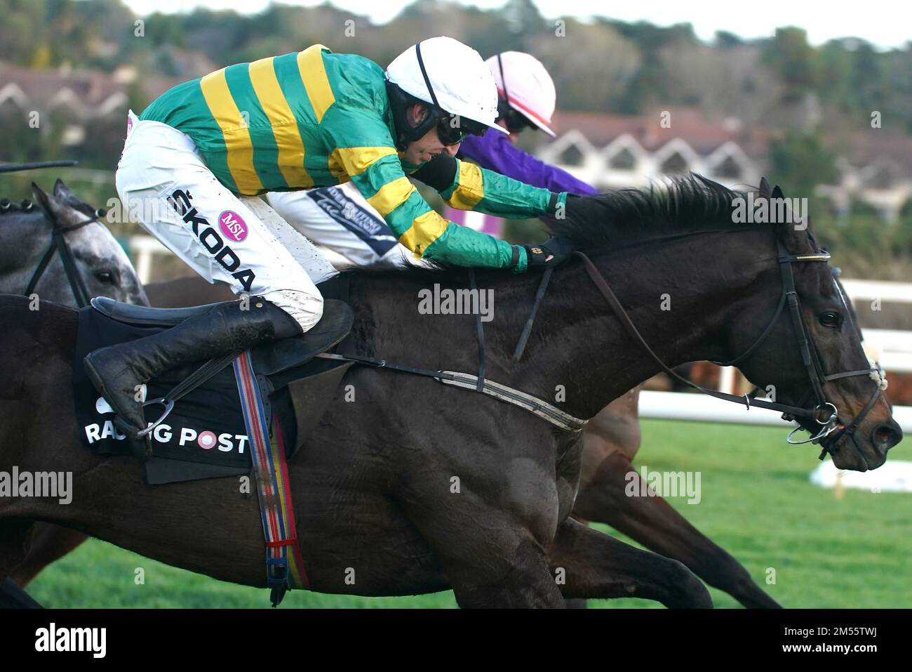 Saint roi horse hi-res stock photography and images - Alamy