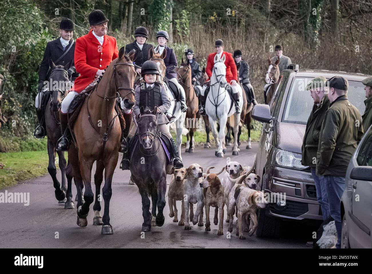 Quantock stag hounds hi-res stock photography and images - Alamy