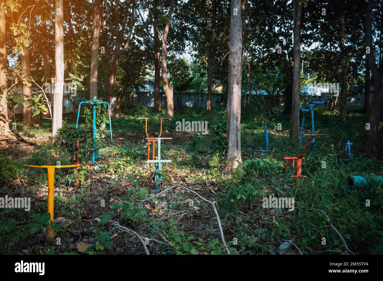 Old outdoor exercise equipment so worn out and covered in trees in ...