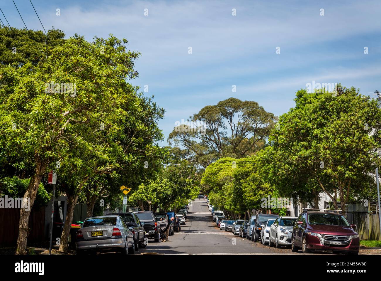 Quiet residential street in Newtown, a popular inner west suburb ...