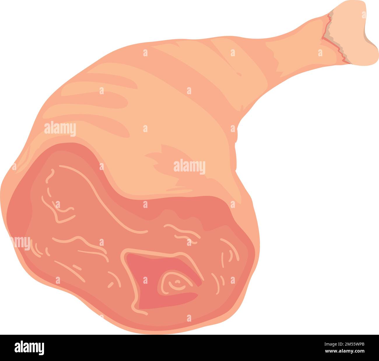 Cooked leg of lamb isolated Stock Vector Images - Alamy