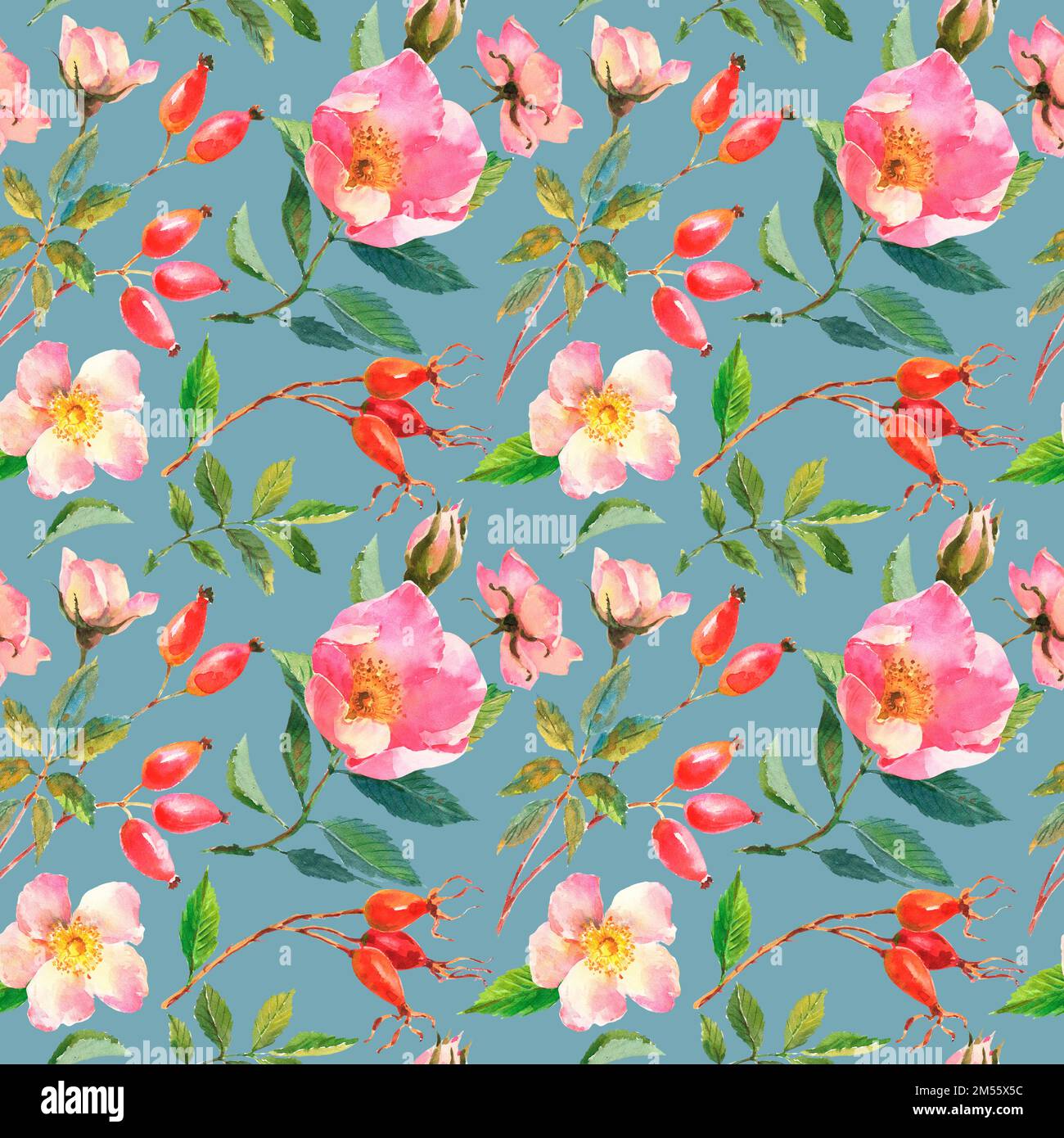 Watercolor illustration. Seamless pattern of rose hips flowers, leaves ...