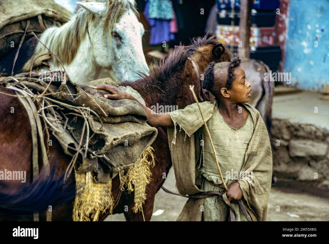 Ethiopia, 1970s, Mojo village, young boy with stick, mule, Oromia ...