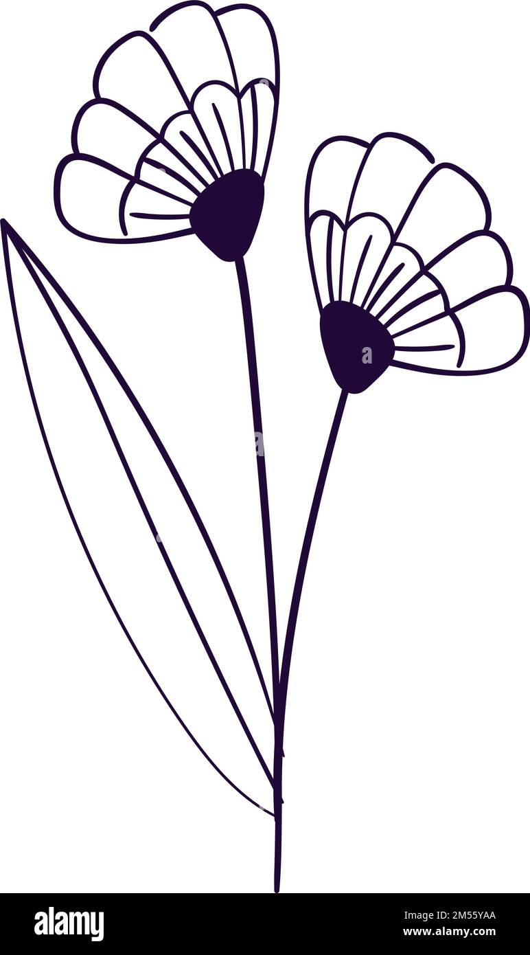 doodle flowers plant Stock Vector Image & Art - Alamy