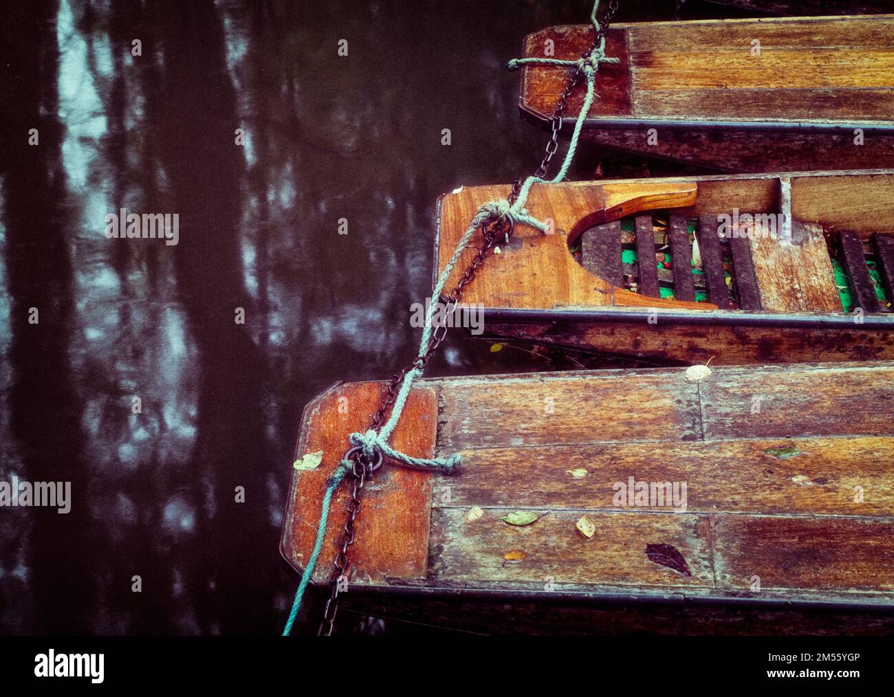 A closeup view of wooden punts moored up at the "Head of the River" in ...