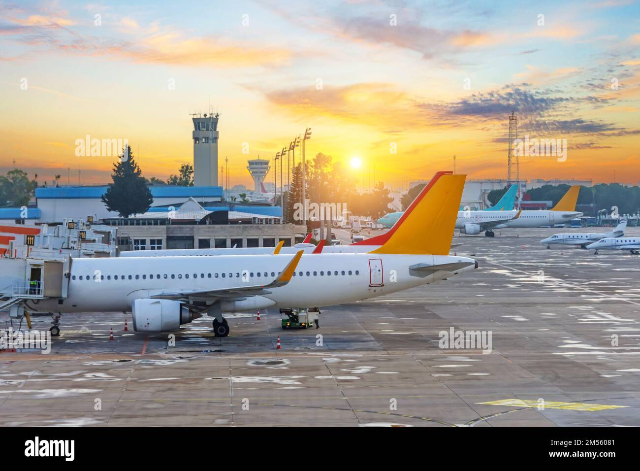 Commercial airplane row tail parking at the airport next to the ladders ...