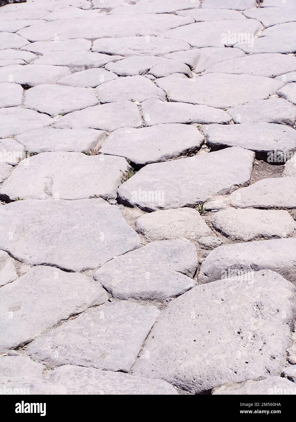 Stone paved road and footpath in a street in Pompeii, Italy Stock Photo - Alamy