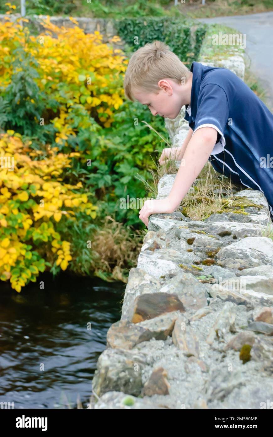 Child look under stone hi-res stock photography and images - Alamy