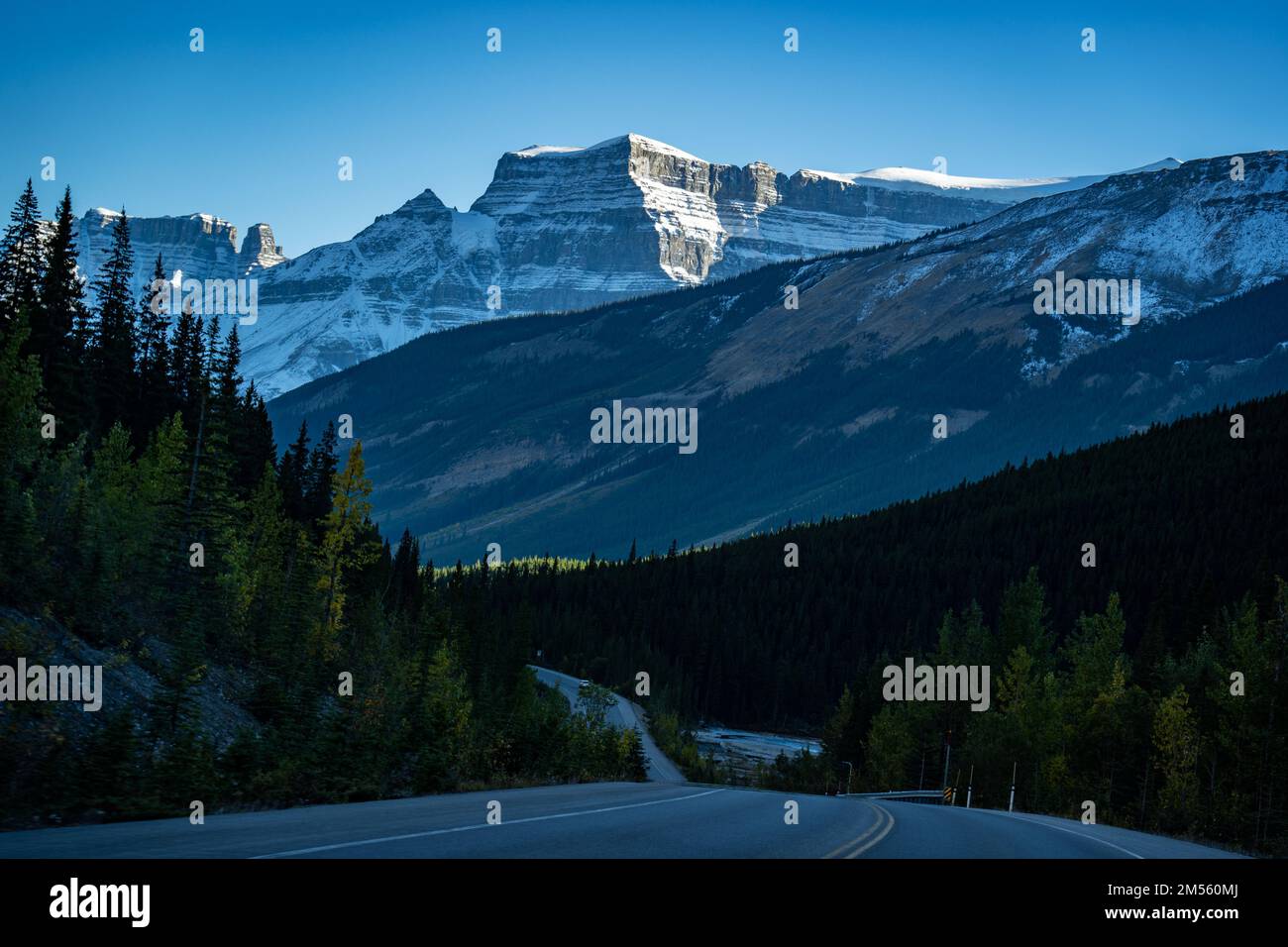 A breathtaking view of the road surrounded by green trees, with an ...