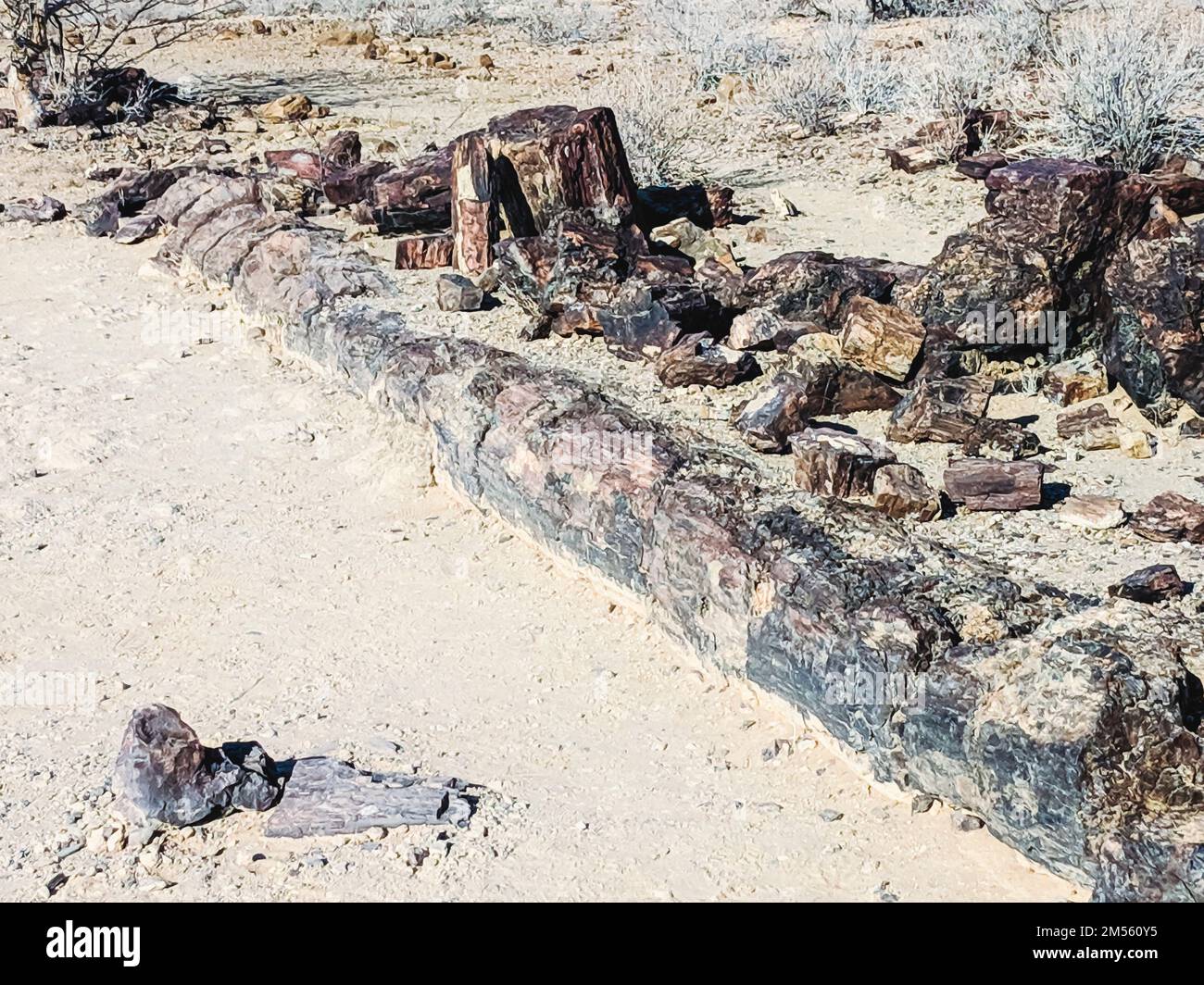 Fossilised tree trunk, Twyfelfontein, Namibia Stock Photo - Alamy