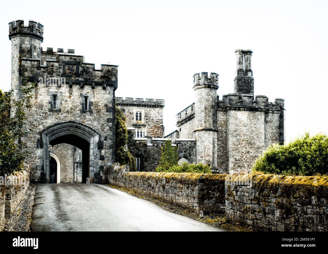 A road leads to the entrance of Powderham Castle in England Stock Photo ...