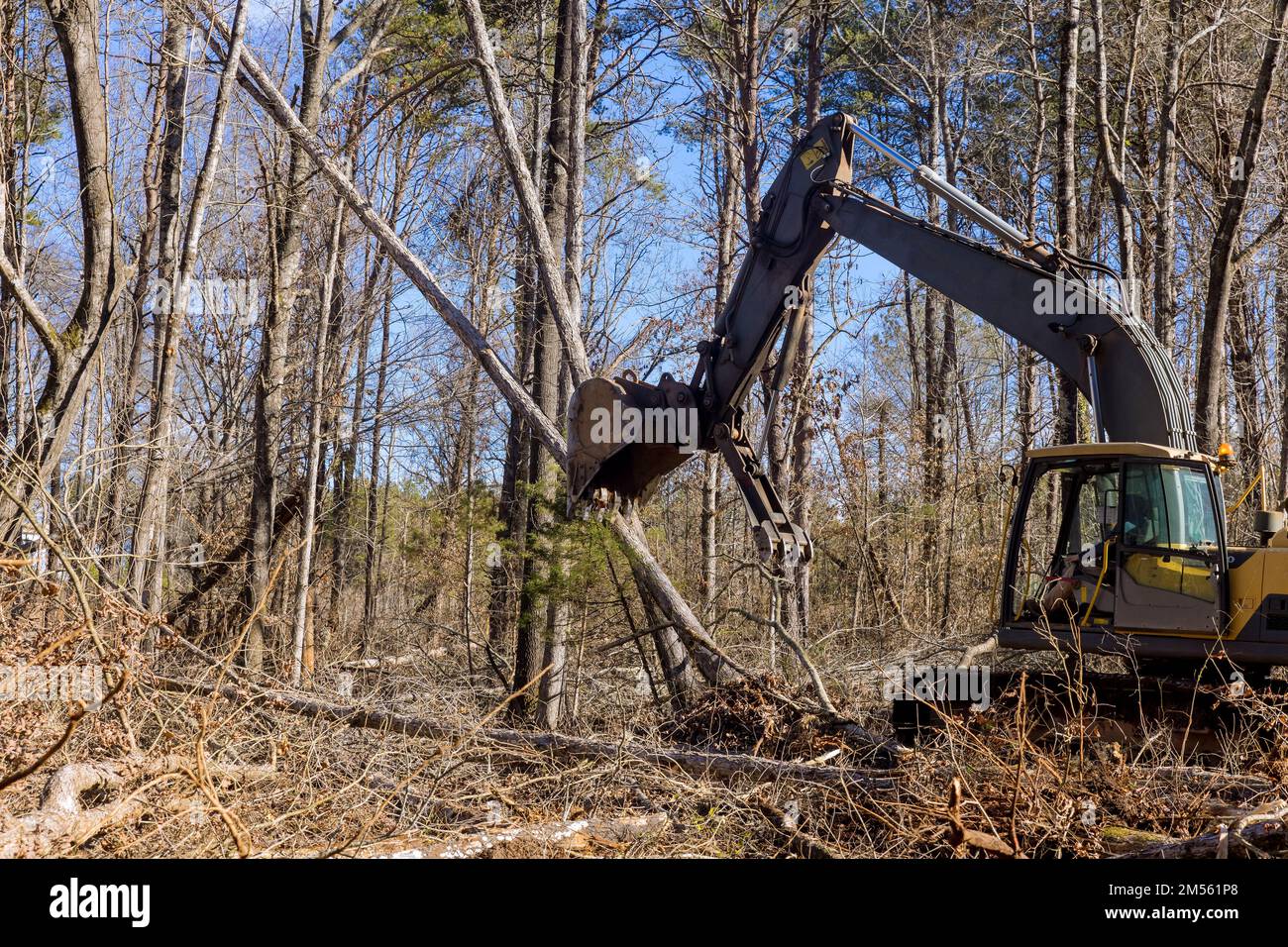In construction site, skid steers were used to clear uprooted trees ...