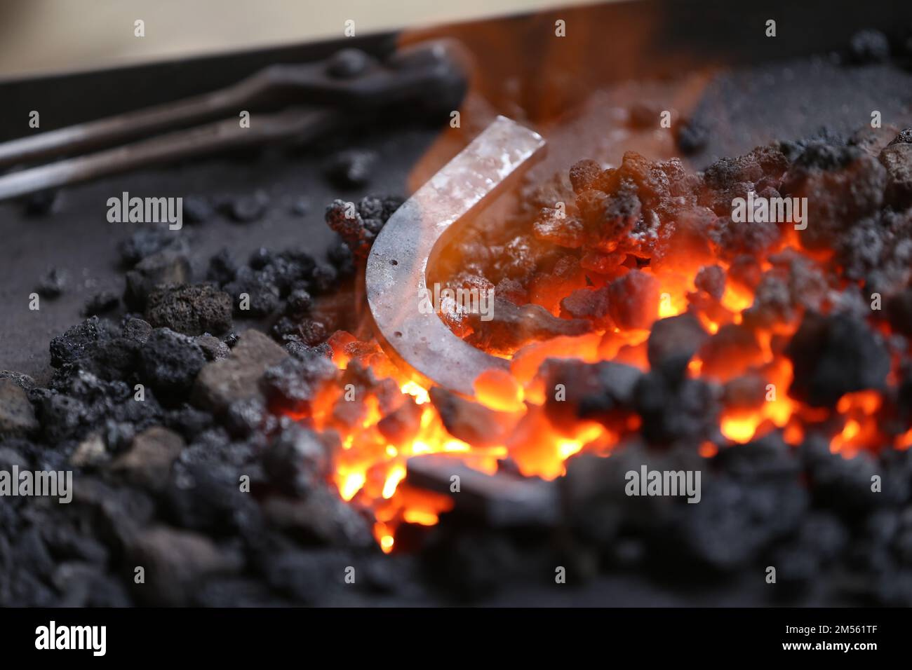 Horse shoe block hi-res stock photography and images - Alamy