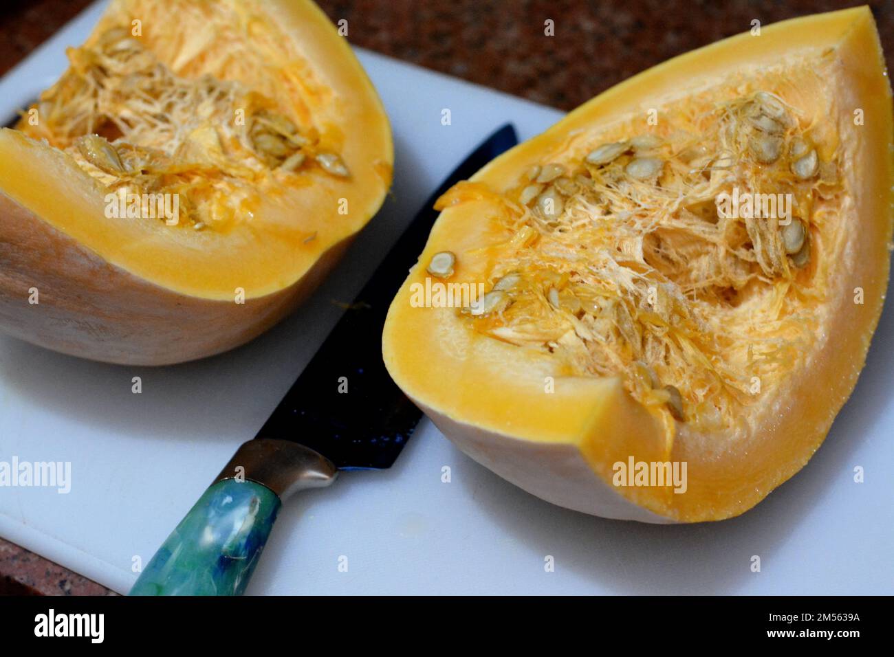 squash, pumpkin, or gourd, Cucurbita is a genus of herbaceous fruits in ...