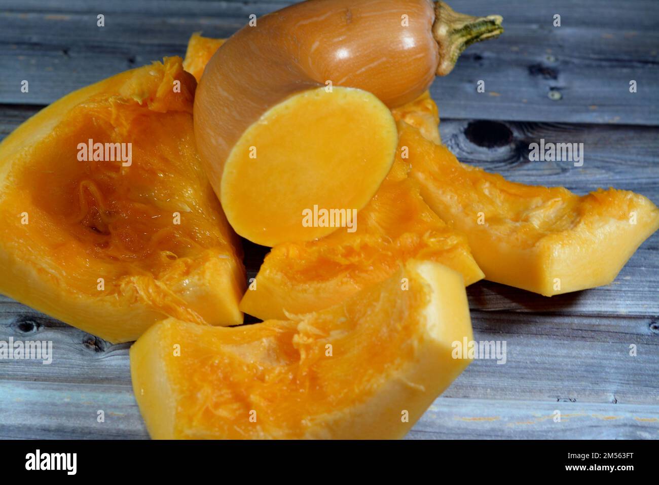 squash, pumpkin, or gourd, Cucurbita is a genus of herbaceous fruits in ...