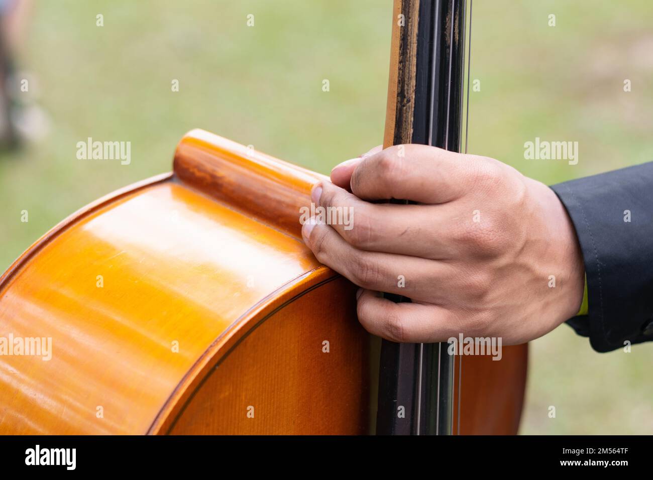 hand of a cellist holding the cello by the neck, artist preparing for ...