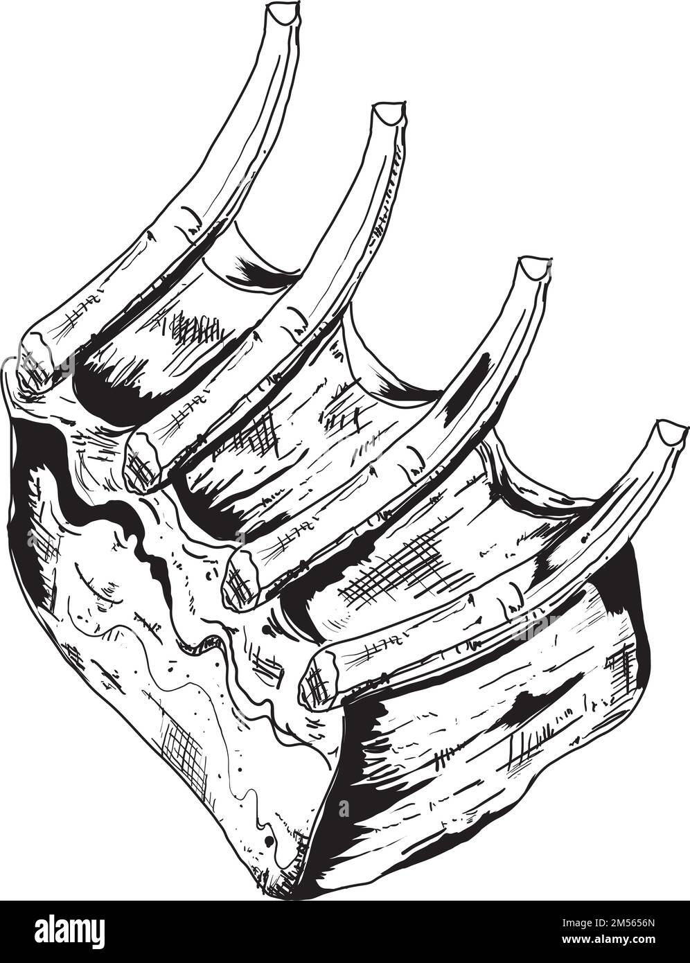 ribs pork bbq sketch Stock Vector Image & Art - Alamy